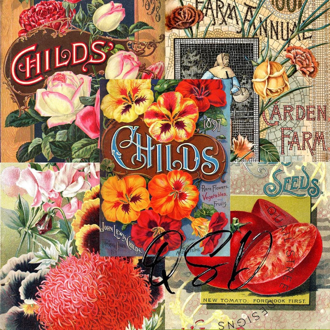 Vintage Seed Catalog Prints, Glossy & Matte Finish, Reproduction ...
