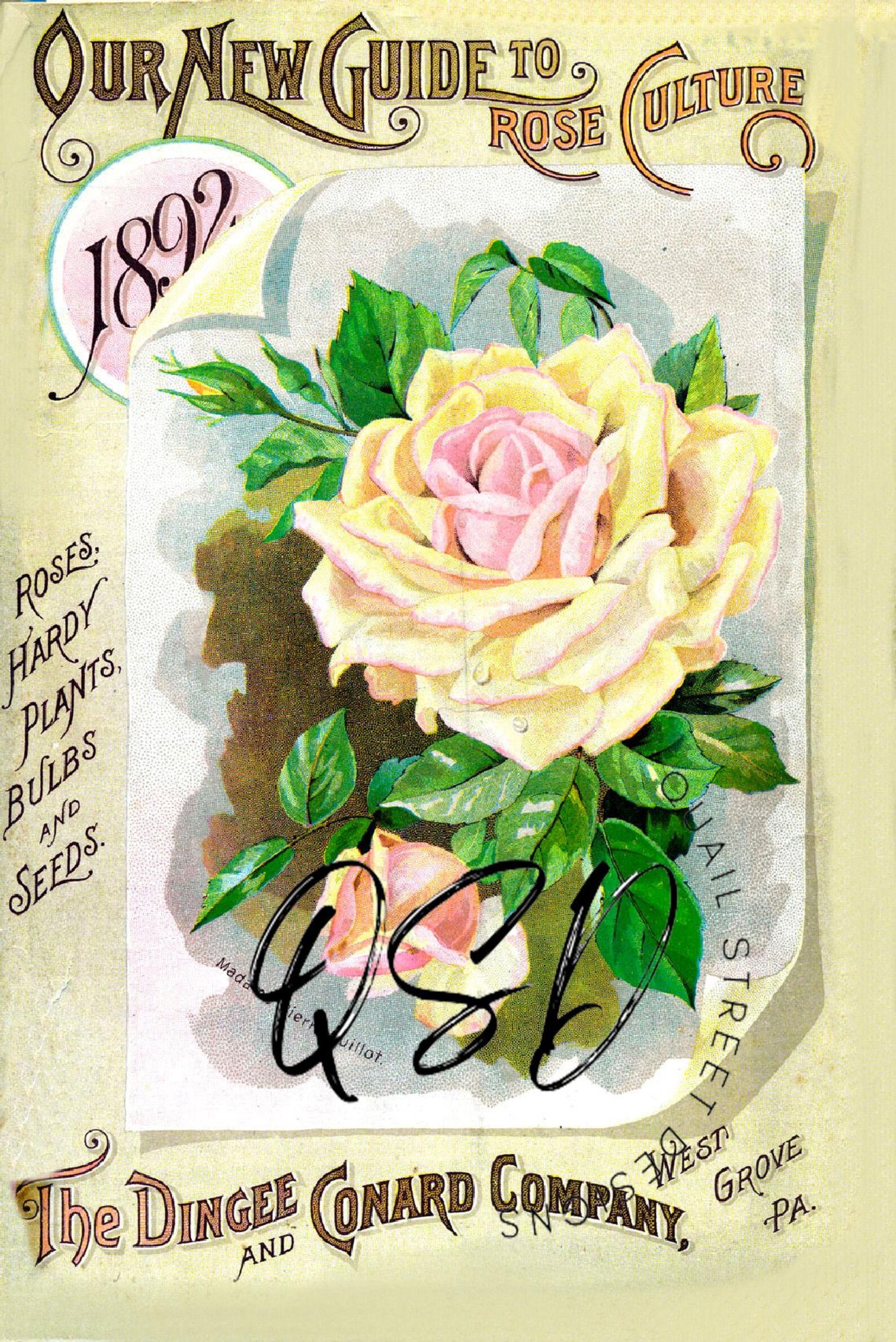 Vintage Seed Catalog Prints, Glossy & Matte Finish, Reproduction ...