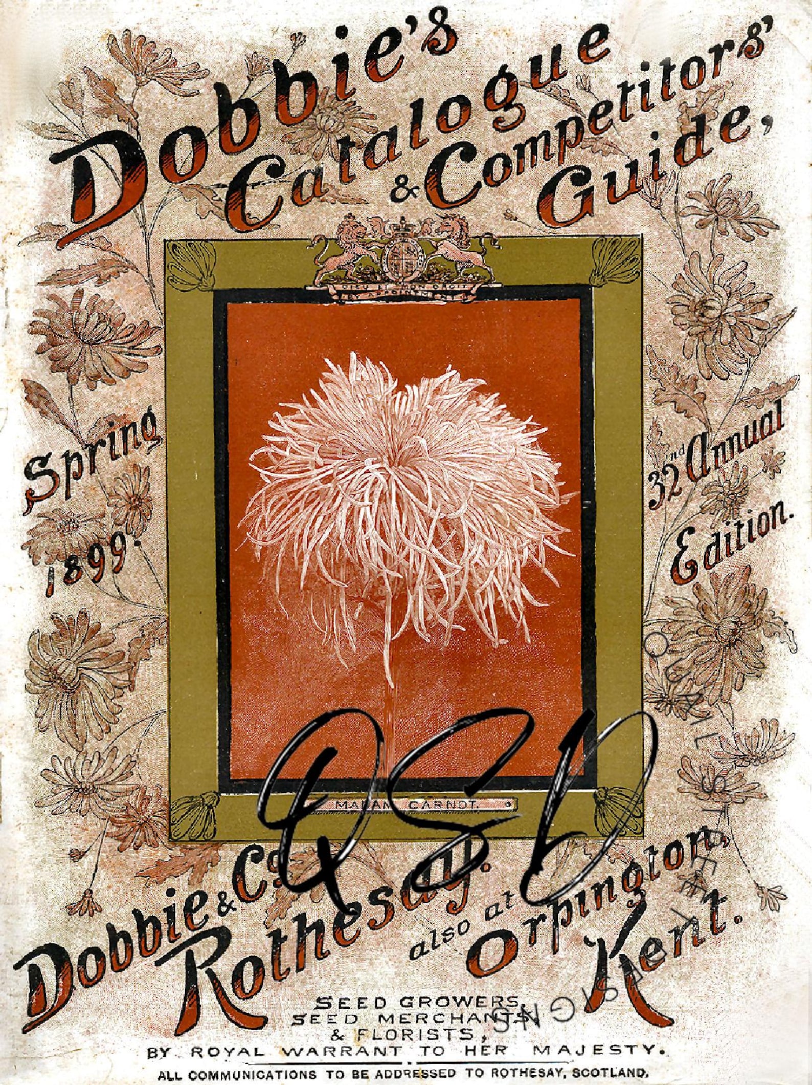 Vintage Seed Catalog Prints, Glossy & Matte Finish, Reproduction ...