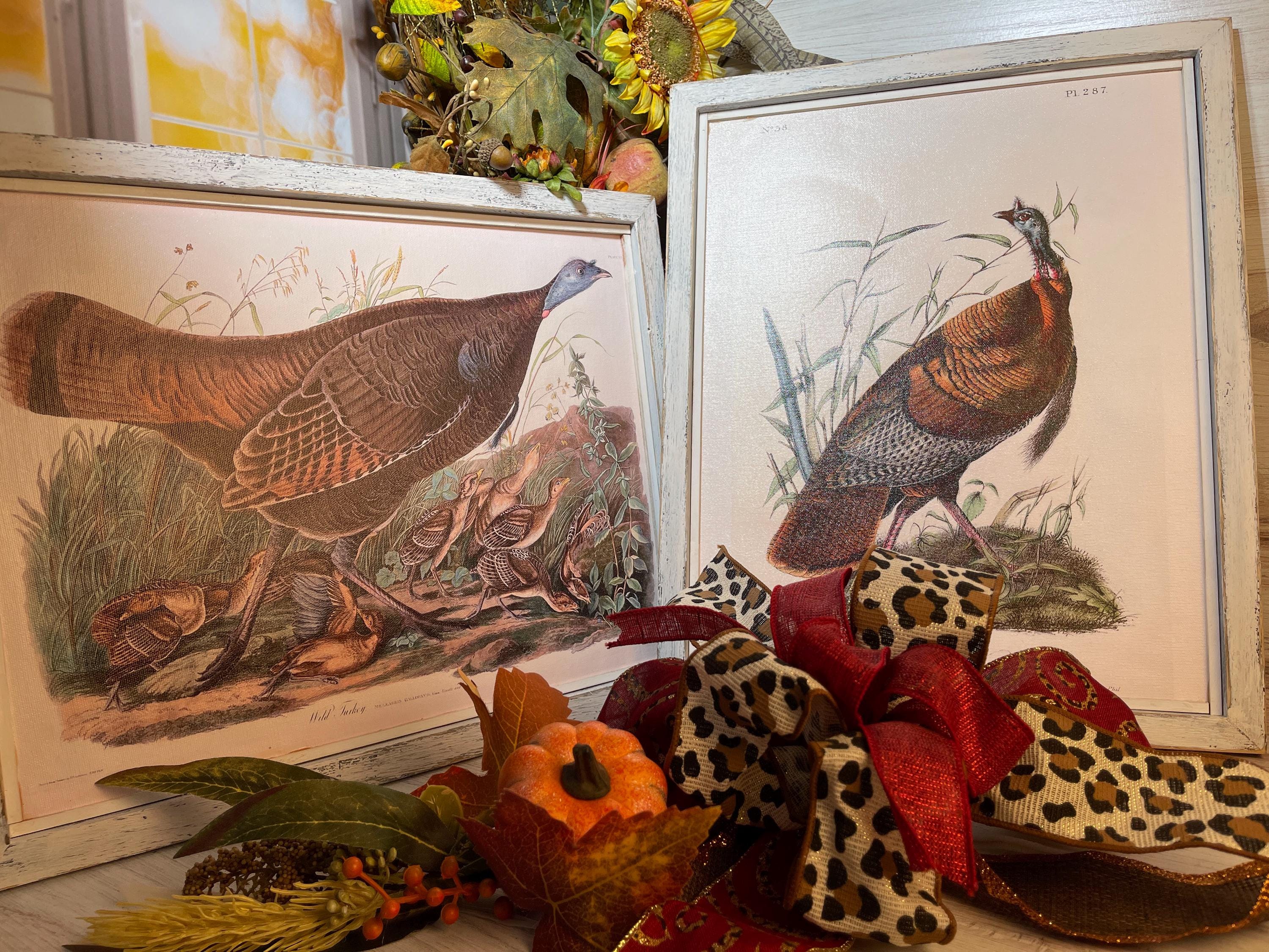 Audubon Wild Turkey Prints, Male Wild Turkey, Female Wild Turkey W ...