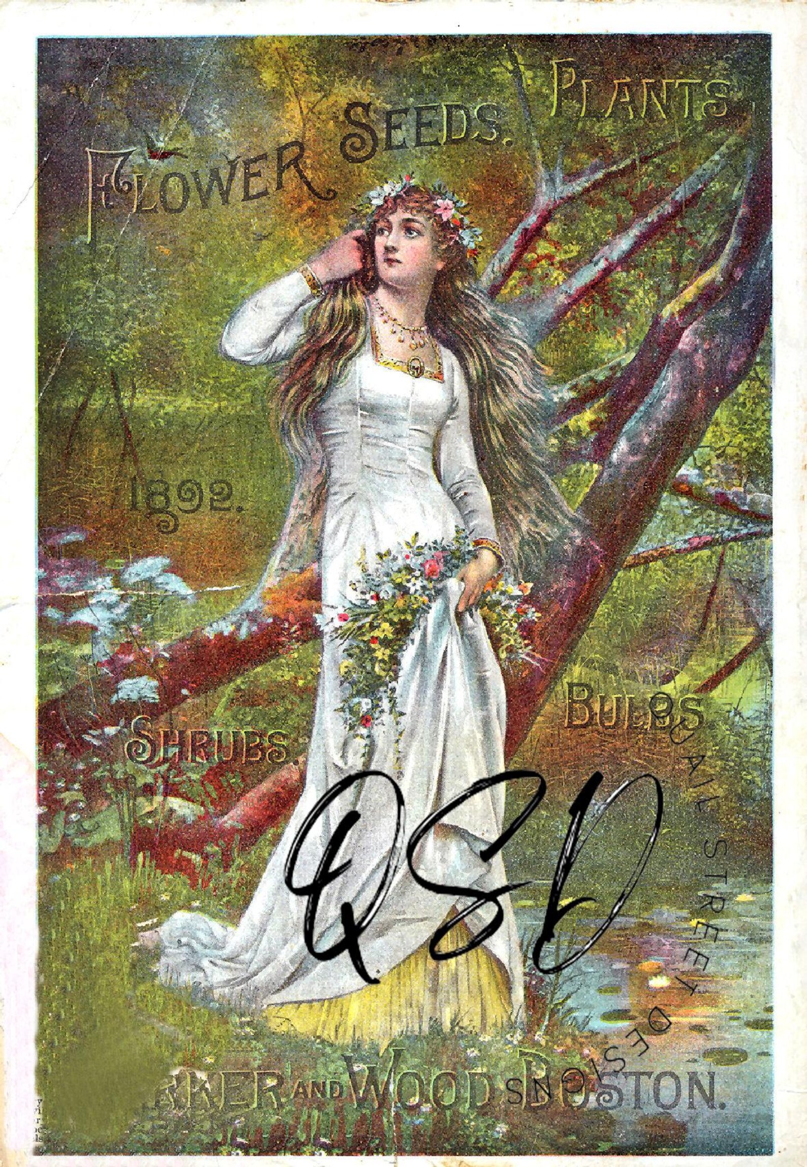 Vintage Seed Catalog Prints, Glossy & Matte Finish, Reproduction ...