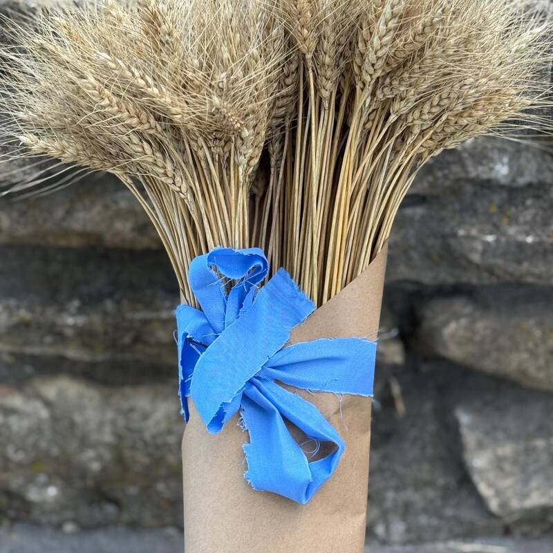 Dry Wheat Decorations - Etsy
