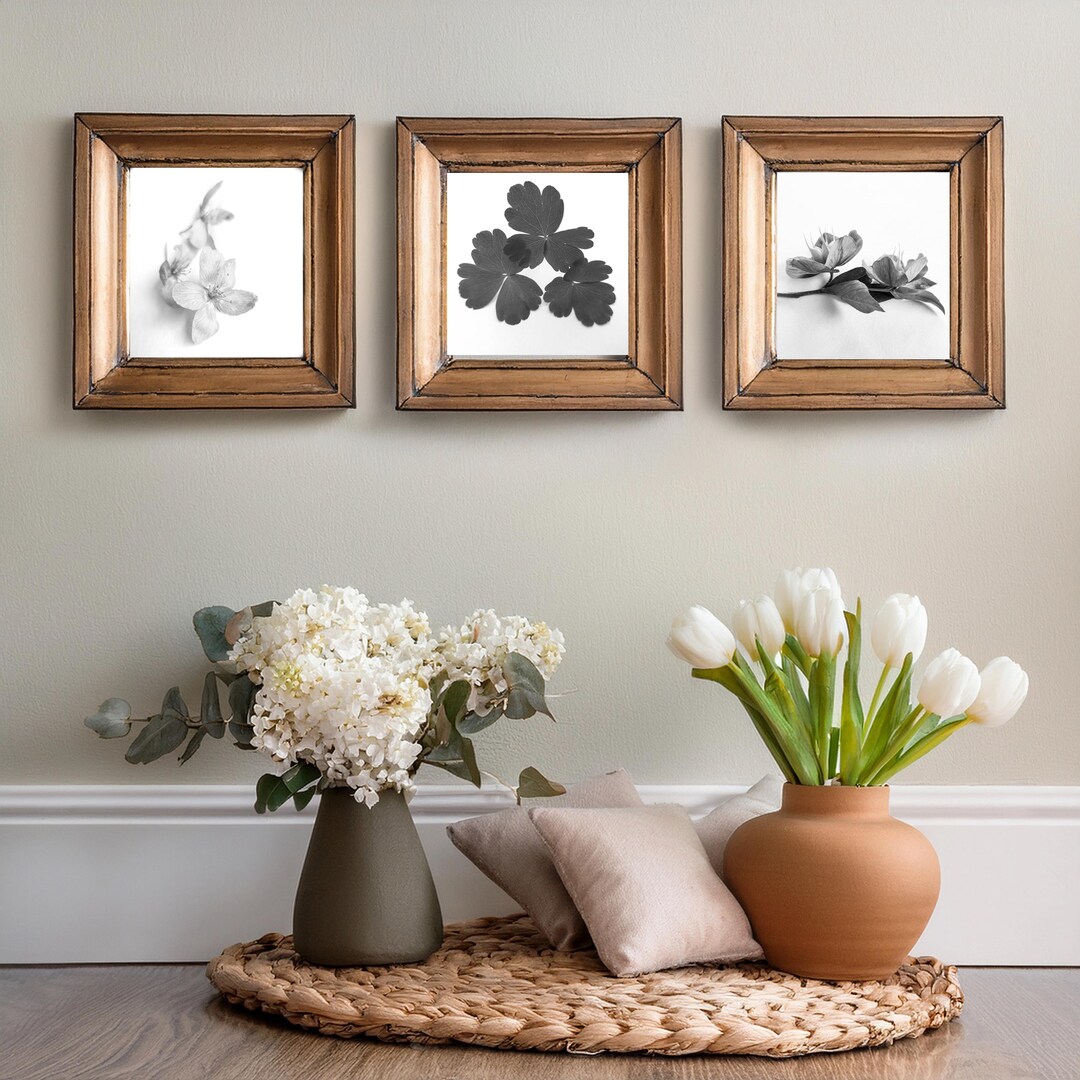 Natural Overlap: Black and White Floral Photography Prints - Set of ...