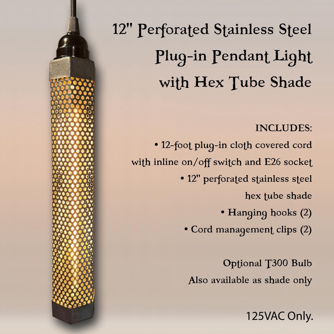 Steampunk Industrial Plug-in Hanging Pendant Light W/ 12" Perforated ...