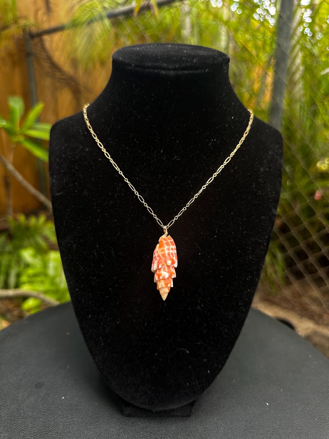 Gold Miter Shell Necklace (20in Chain) - Etsy