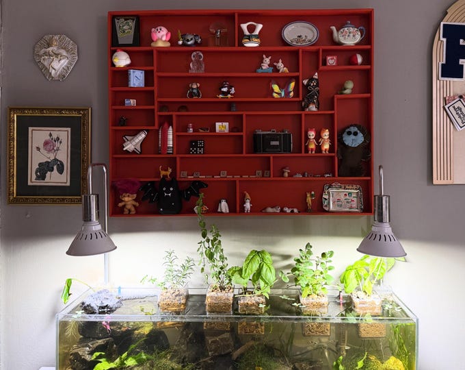 Emergency Intercom Mini Display Shelf - Etsy