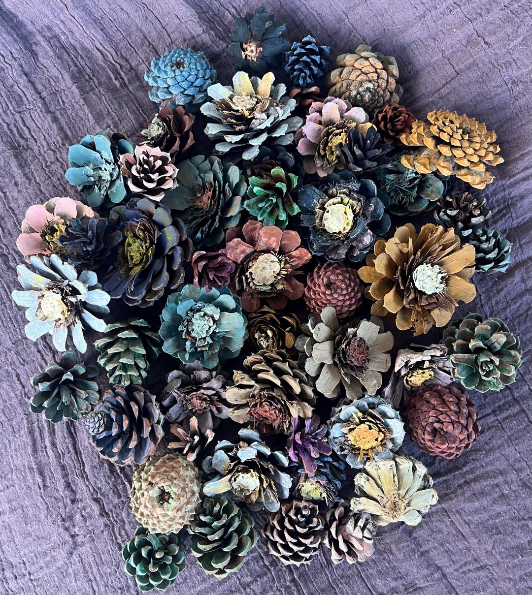 50 Painted Pinecones Craft Art Supplies Antique Colors Natural Wood Raw Materials Pine Cones - Etsy