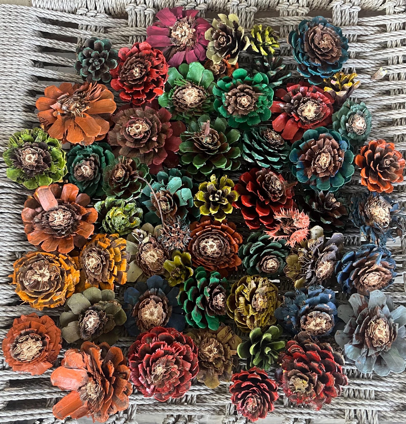 50 Painted Pinecones Craft Art Supplies Into the Forest Natural Wood ...