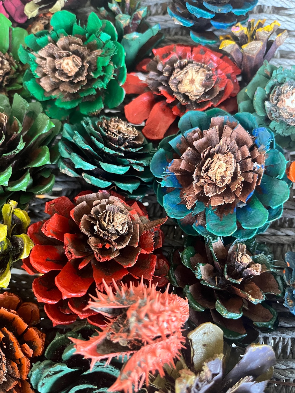 50 Painted Pinecones Craft Art Supplies Into the Forest Natural Wood ...