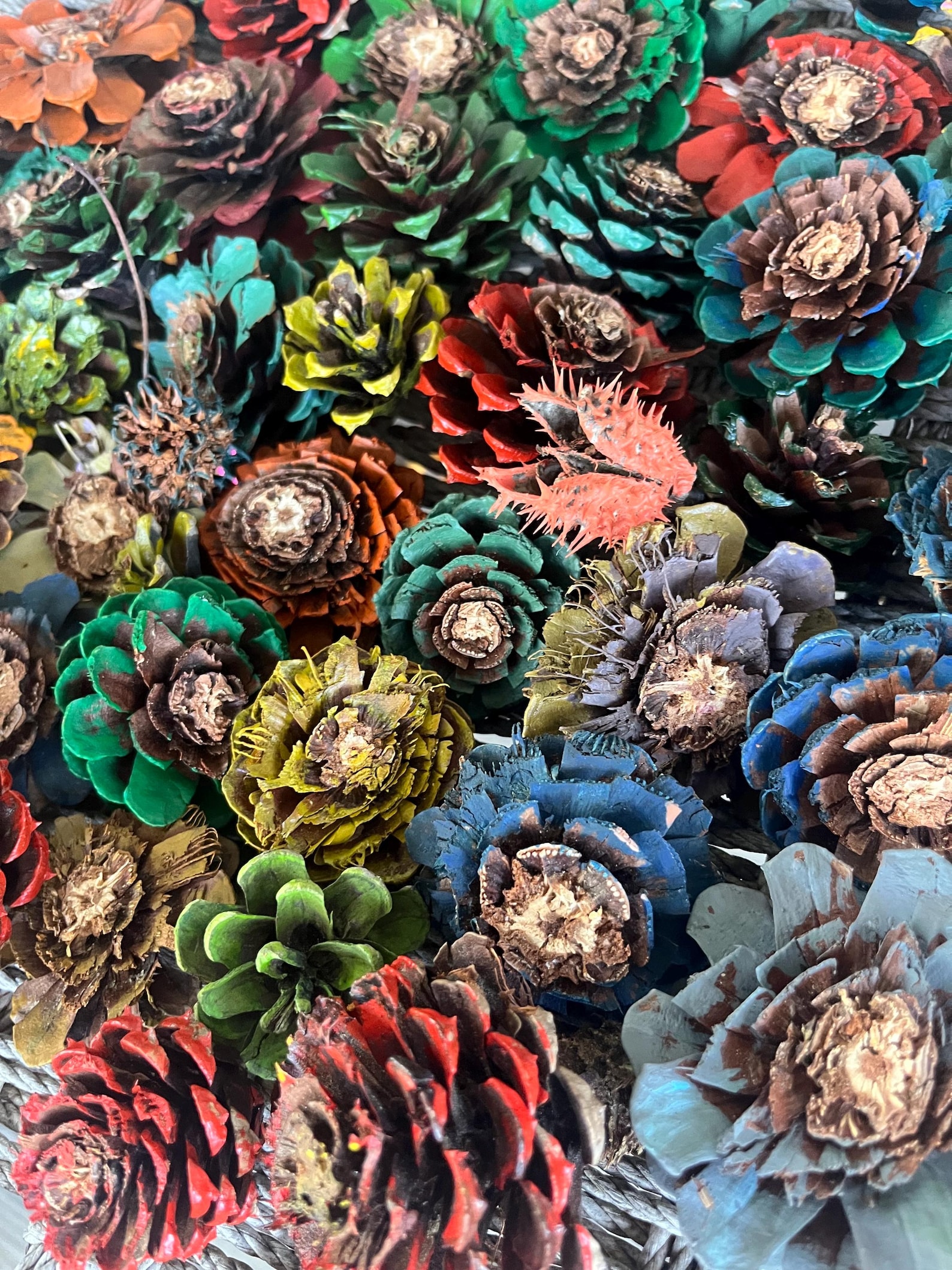 50 Painted Pinecones Craft Art Supplies Into the Forest Natural Wood ...