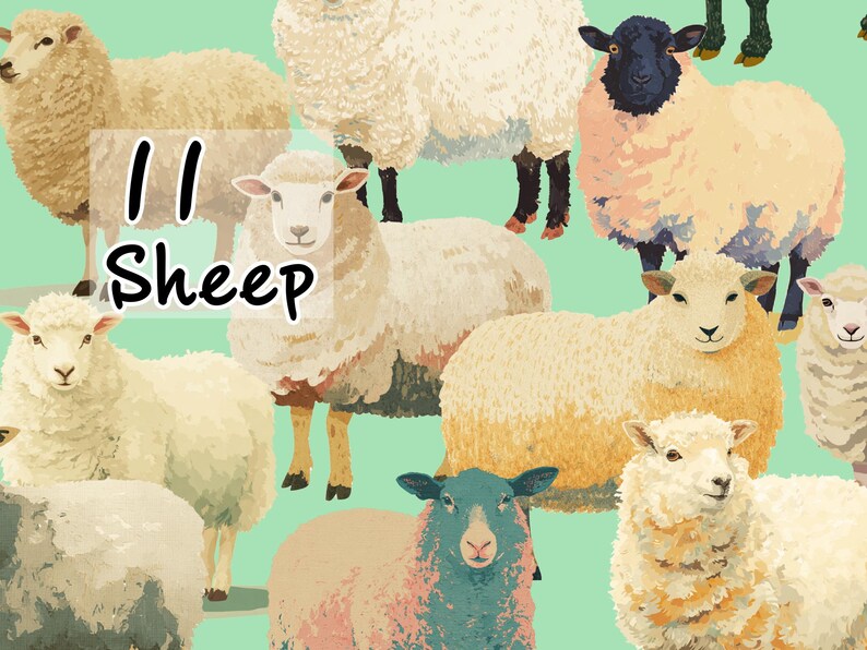Minimal Sheep Digital Stickers | Flat Style Clipart | Modern Sheep Art ...