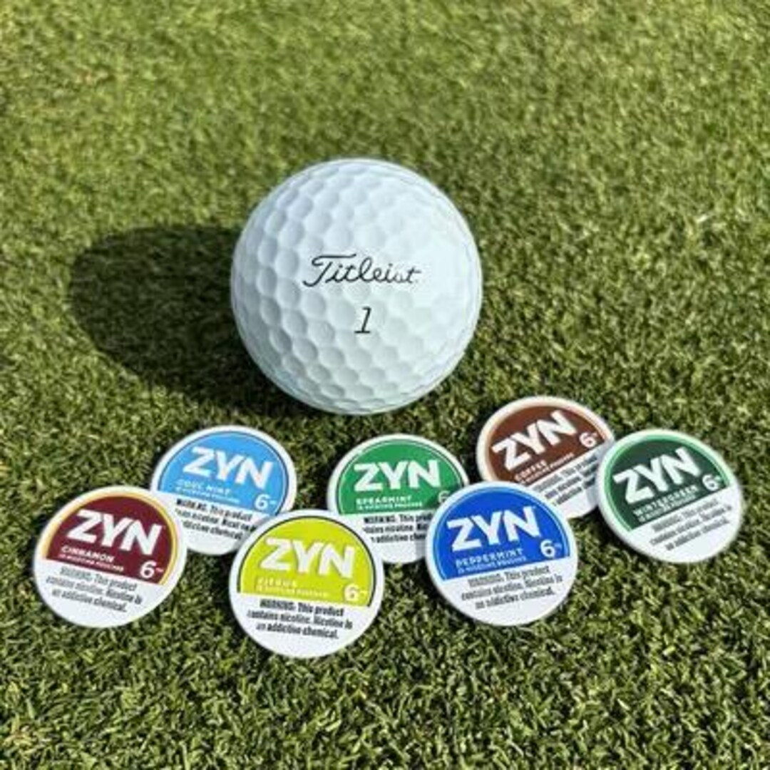 ZYN Can Golf Ball Marker – Hilarious Golf Gift for Him, Magnetic Funny ...