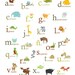 Spanish Nature Themed Alphabet 8x10 - Set of 2 Posters Spanish ABC and ...