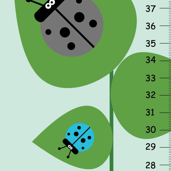 Personalized Lady Bug Canvas Growth Chart | Etsy