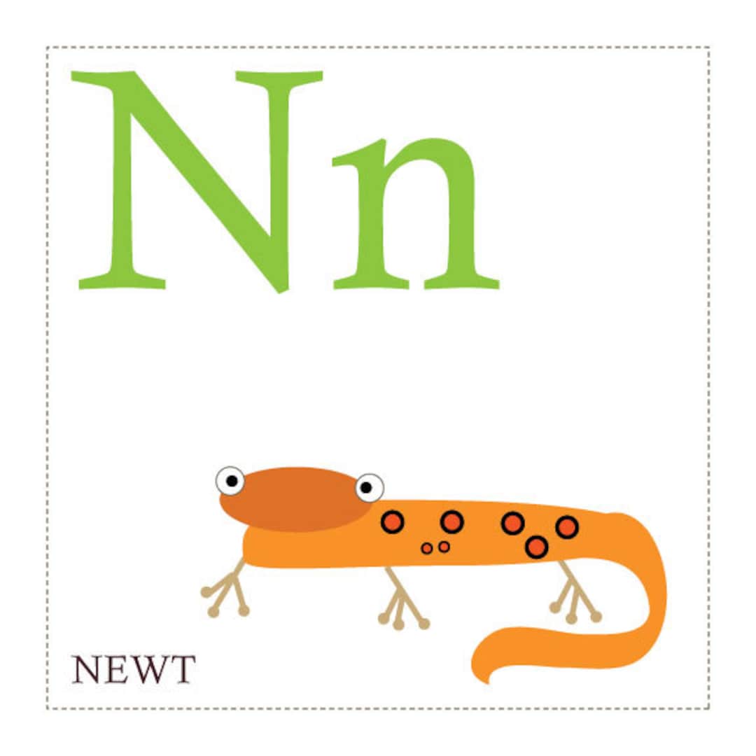 N is for Newt - Alphabet Print - Etsy