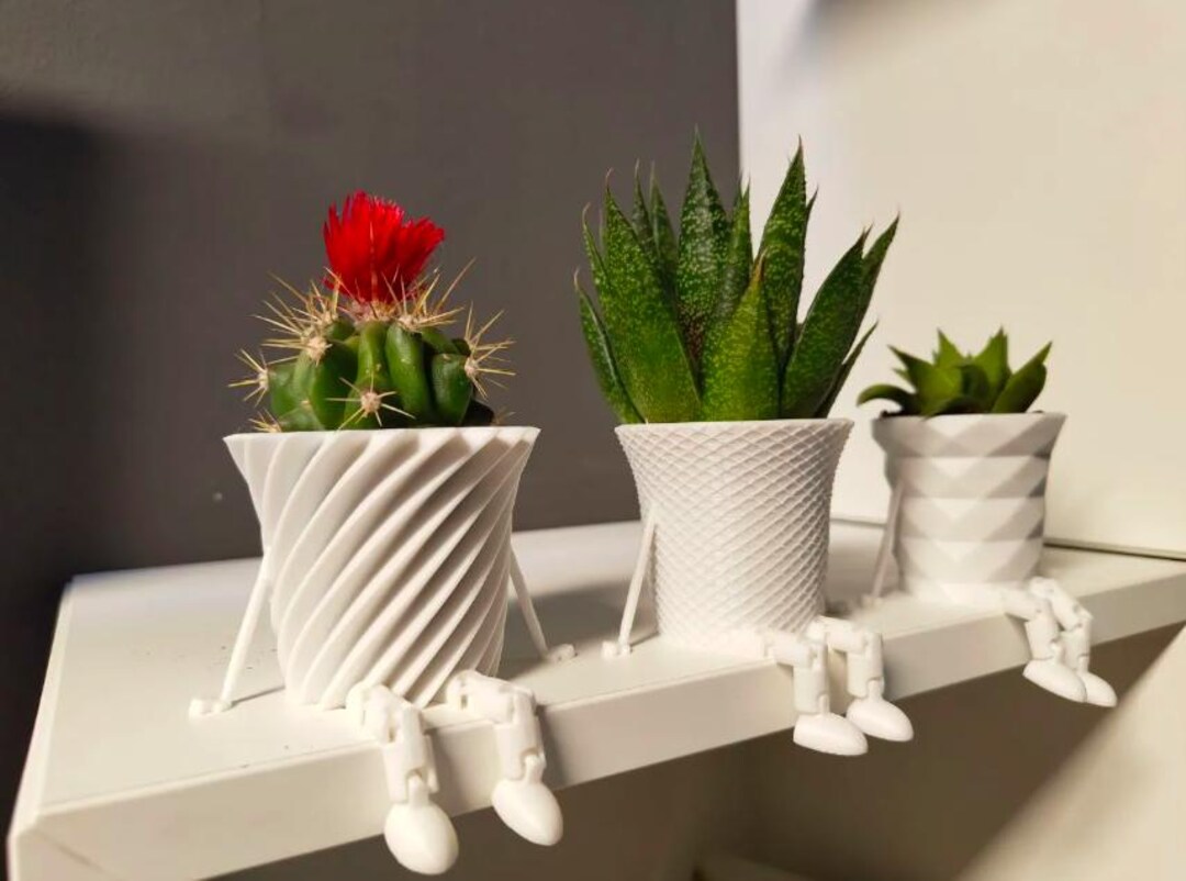 Mini Cactus Family Flower Pot 3D Printable STL Set - Home Decor, Garden ...