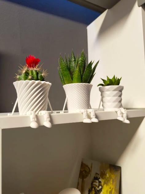 Mini Cactus Family Flower Pot 3D Printable STL Set - Home Decor, Garden ...