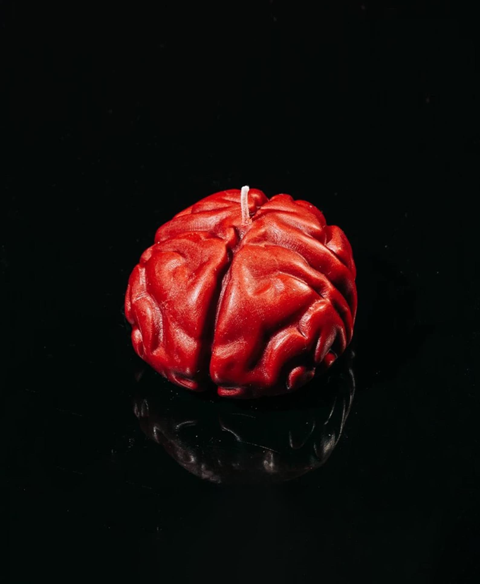 Brain Hannibal Soy Wax Gothic Candle | Dark Aesthetic Witch| Home Decor ...