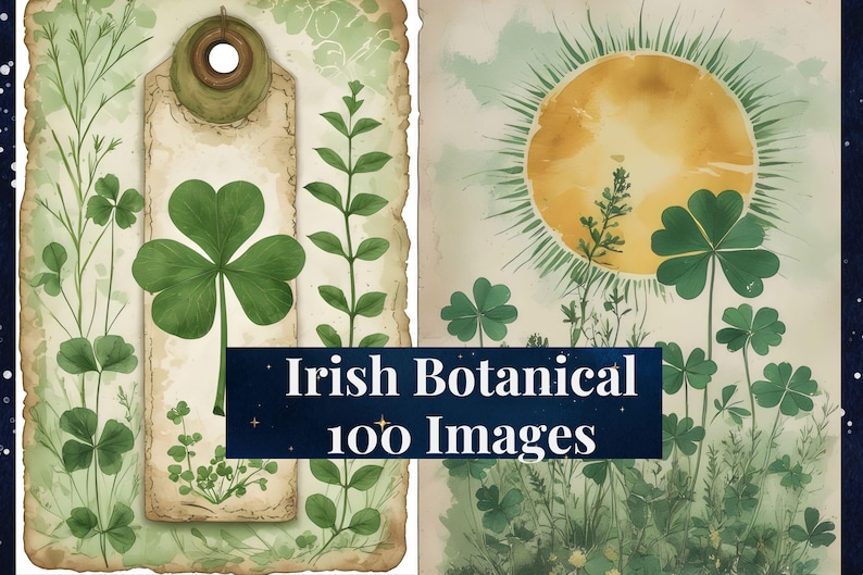 Irish Botanical Shamrock Images Vintage Clover Ephemera JPG Digital ...