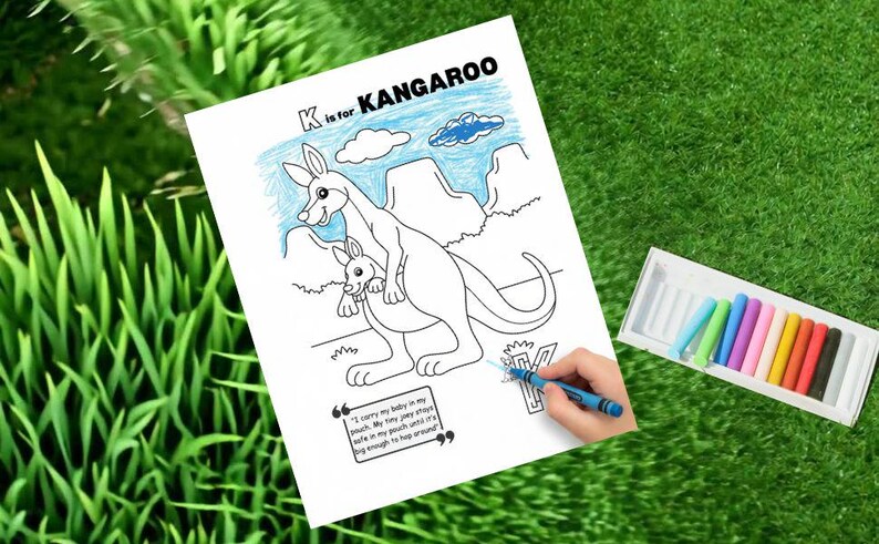 Alphabet Animals Coloring Book With Fun Facts - Etsy UK