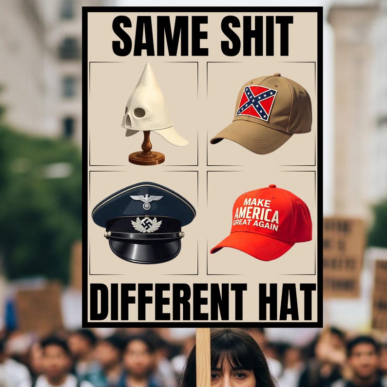 No Kings in America Protest Sign, Anti-trump, Different Hats, Democracy ...