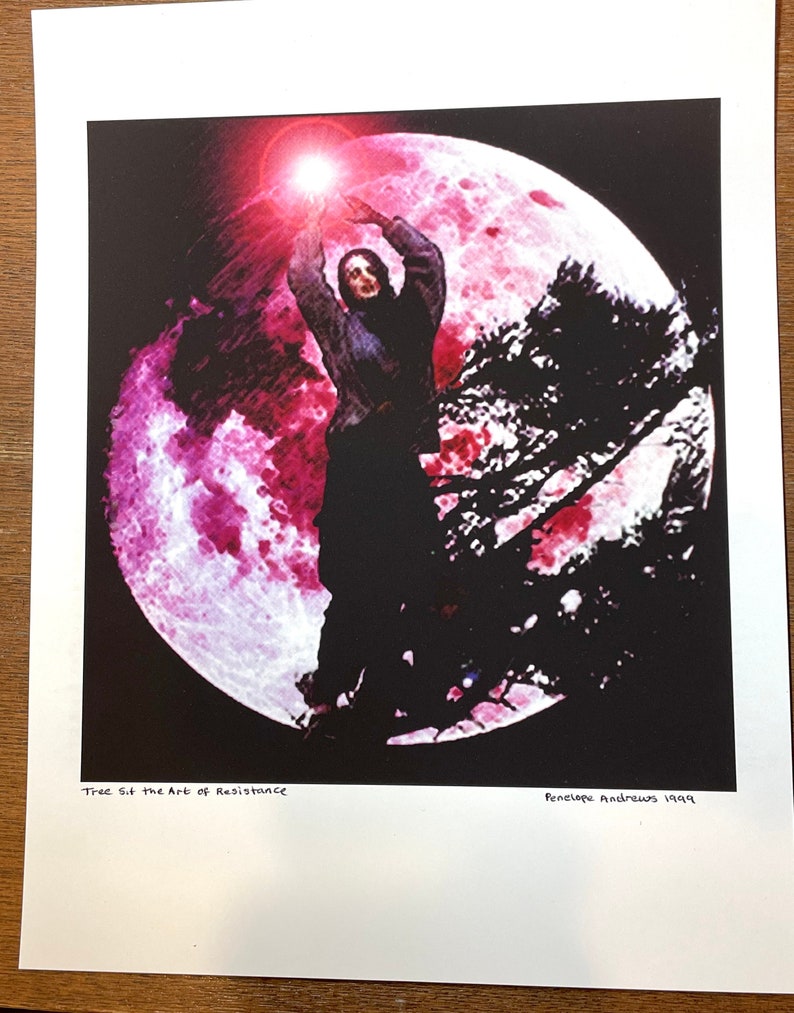 Julia Butterfly Hill, Luna, Art Print, California Redwoods, Tree Sit ...