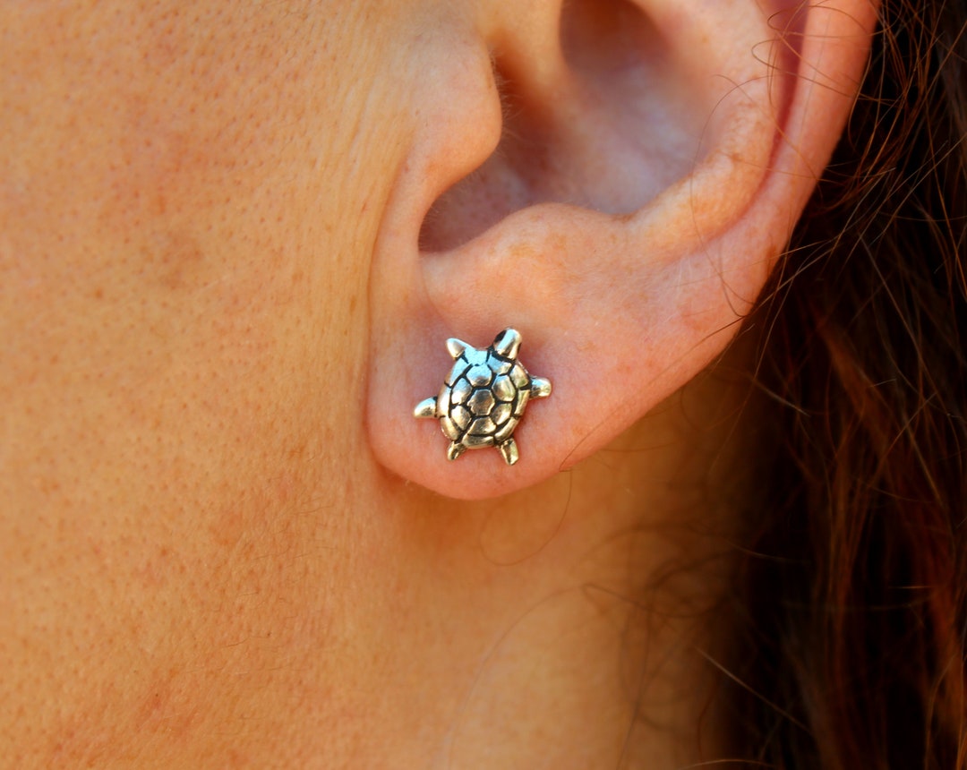 Tiny Tortoise Jewelry Stud Earrings Pair, Turtle Jewelry Earrings, Hand ...