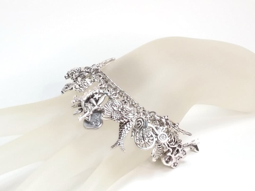 Charm Bracelet Kit, Do It Yourself Jewelry Making Kit, Over 50 Charms ...