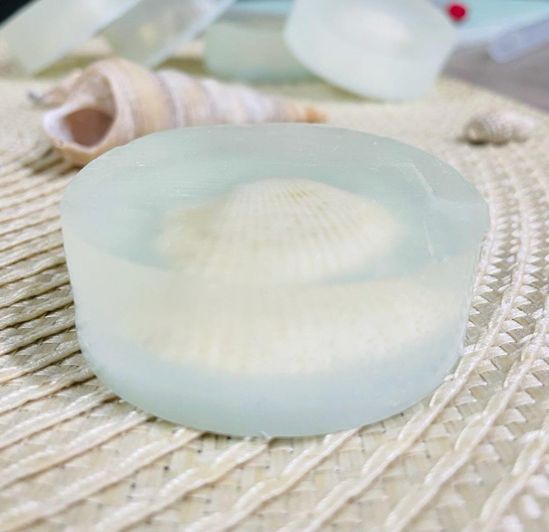 Salty Seaside Soap, Ocean Shell Soap, Limited Time, Small Business ...