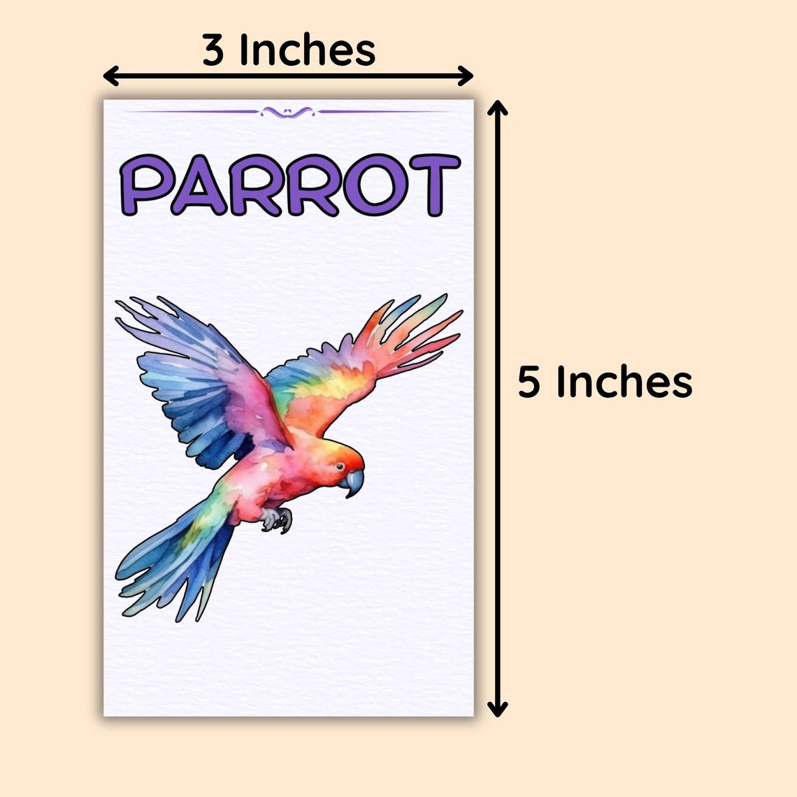 16 Flying Animals Flash Cards, Animals, Bird Flashcards for Kids ...