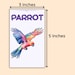 16 Flying Animals Flash Cards, Animals, Bird Flashcards for Kids ...