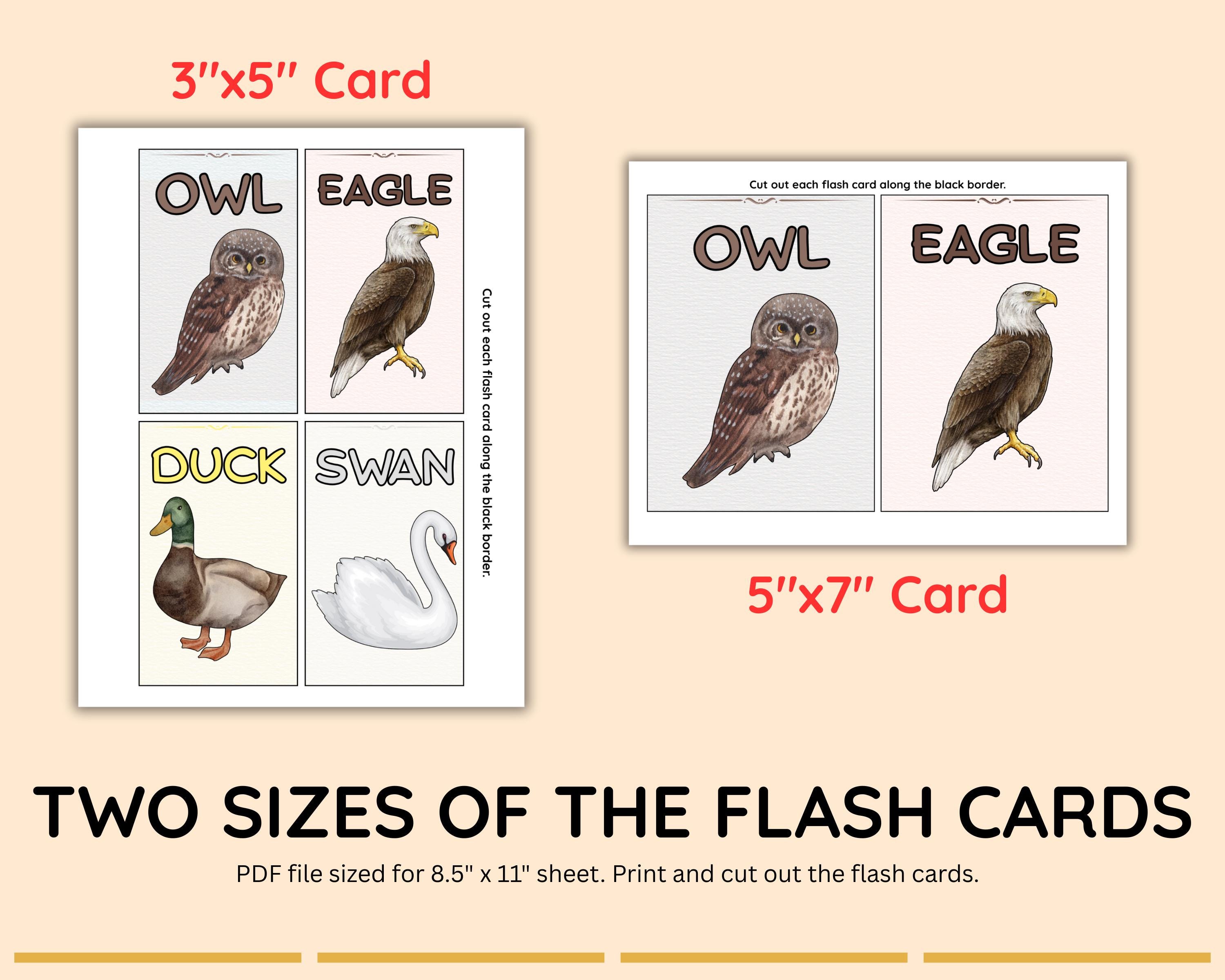16 Flying Animals Flash Cards, Animals, Bird Flashcards for Kids ...
