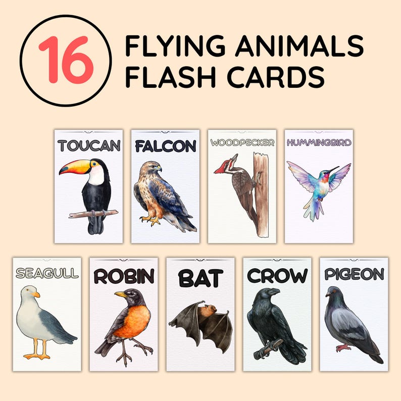 16 Flying Animals Flash Cards, Animals, Bird Flashcards for Kids ...