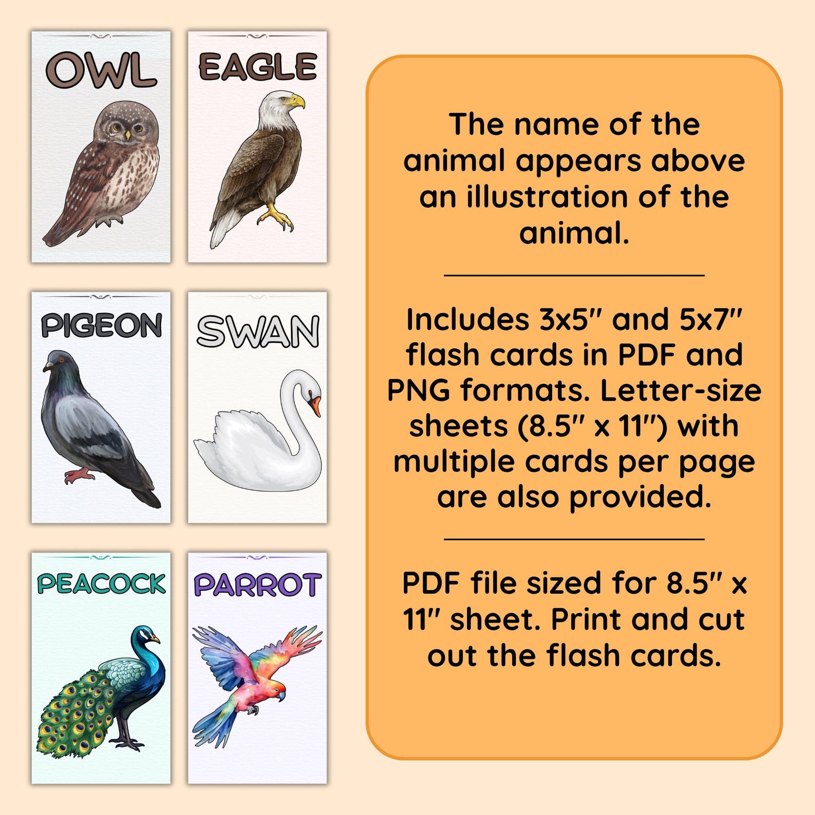 16 Flying Animals Flash Cards, Animals, Bird Flashcards for Kids ...