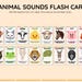 16 Animal Sounds Flash Cards, Farm & Wild Animals, Animal Sounds ...