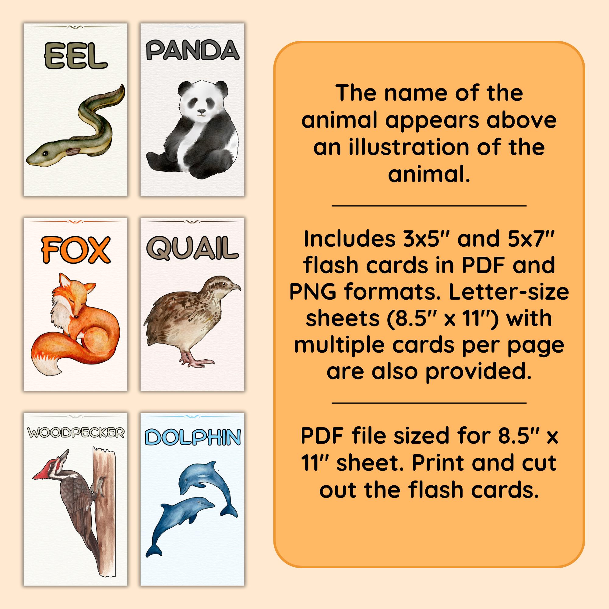 63 Animals Flash Cards Bundle, Printable Animal Learning Set for Kids ...