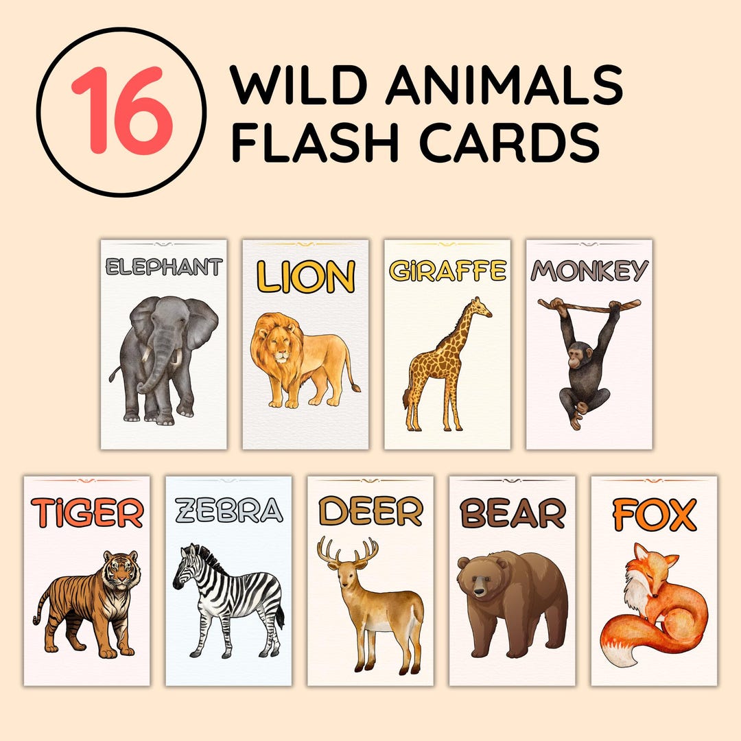 16 Wild Animals Flash Cards, Animals Flash Cards, Jungle Safari ...