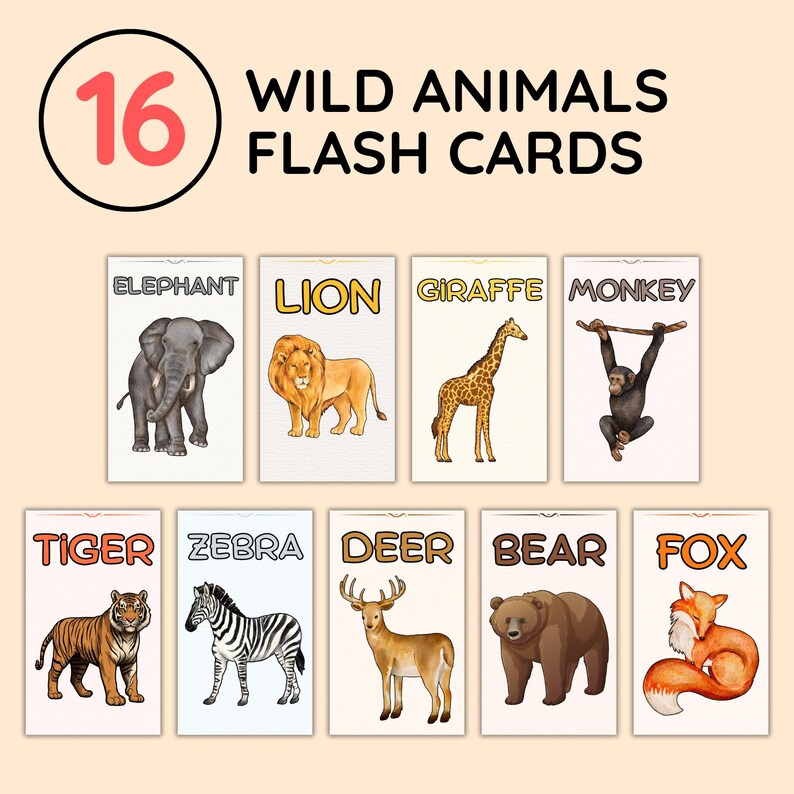 16 Wild Animals Flash Cards, Animals Flash Cards, Jungle Safari ...