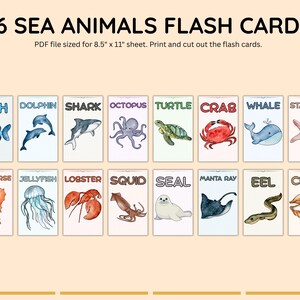 16 Sea Animals Flash Cards, Ocean Animal Flashcards for Kids, Animals ...