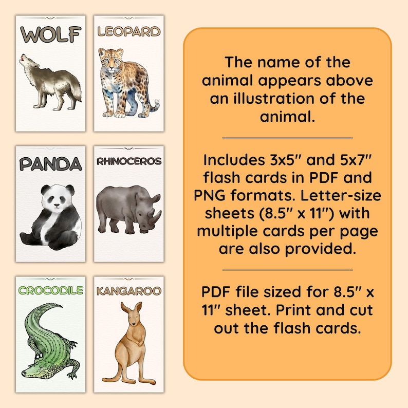 16 Wild Animals Flash Cards, Animals Flash Cards, Jungle Safari ...