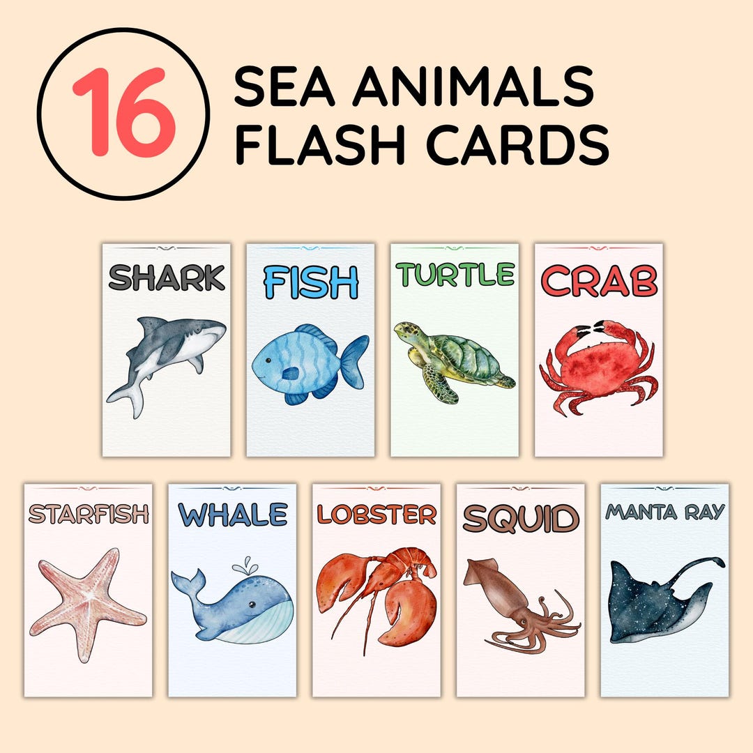 16 Sea Animals Flash Cards, Ocean Animal Flashcards for Kids, Animals ...