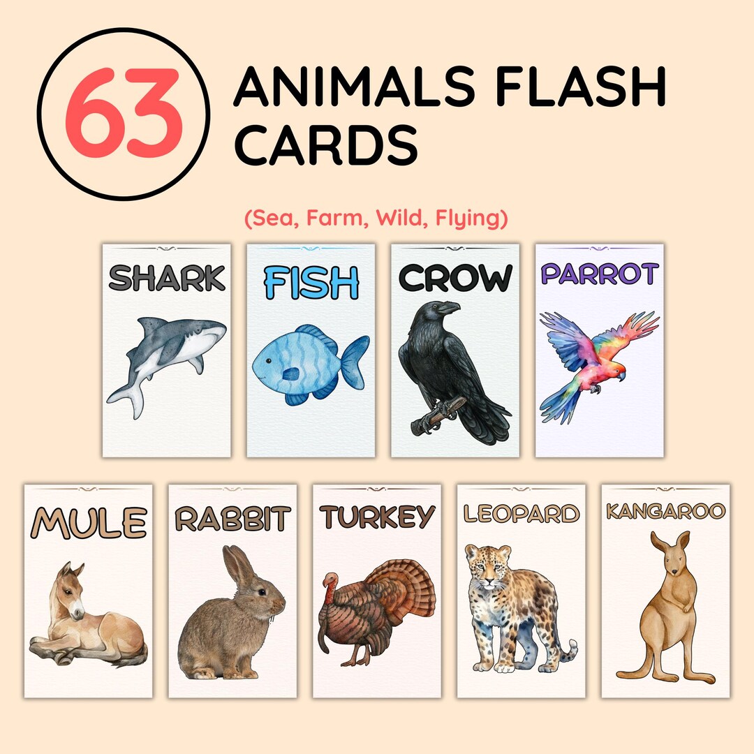 63 Animals Flash Cards Bundle, Printable Animal Learning Set for Kids ...