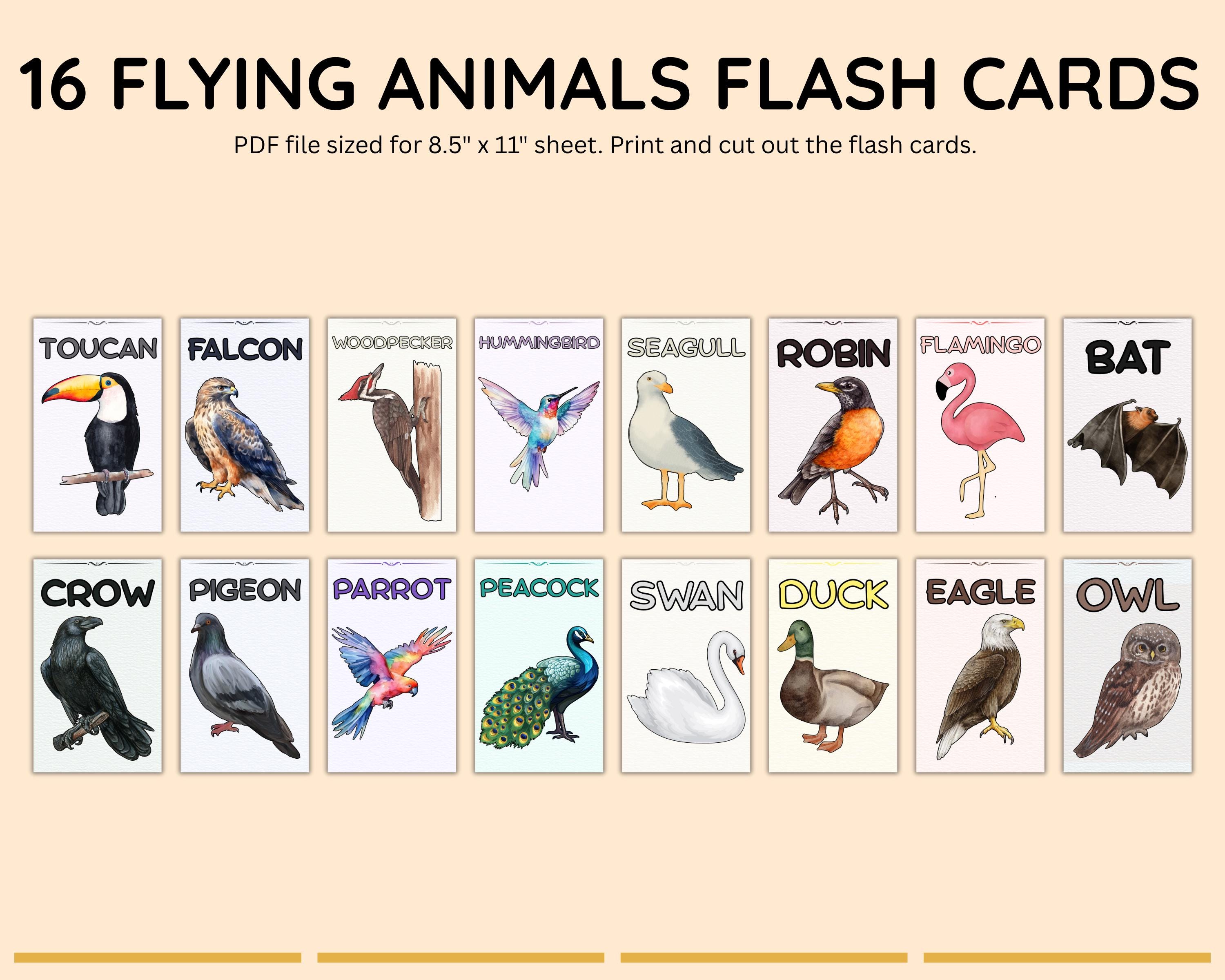 16 Flying Animals Flash Cards, Animals, Bird Flashcards for Kids ...