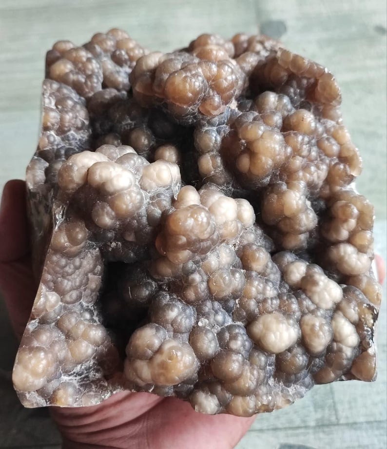 Polished Botryoidal Agate Fossil Stone: Petrified Wood Display - Etsy
