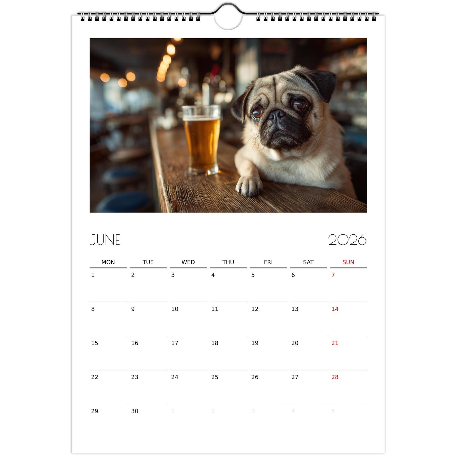 Funny Pugs 2026 A4 Dog Calendar UK, Pug Owner Christmas Gift, Funny Dog ...