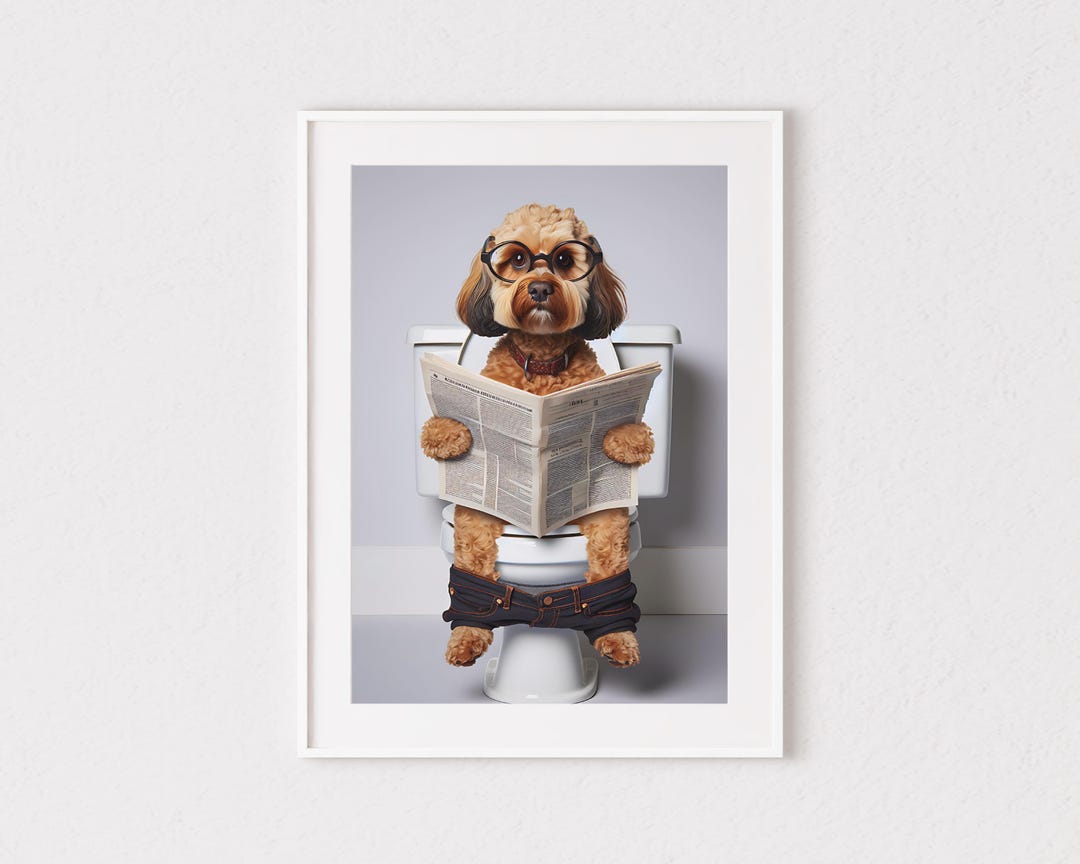 Red Cavapoo on the Toilet Reading a Newspaper Wall Art, Funny Cavapoo ...