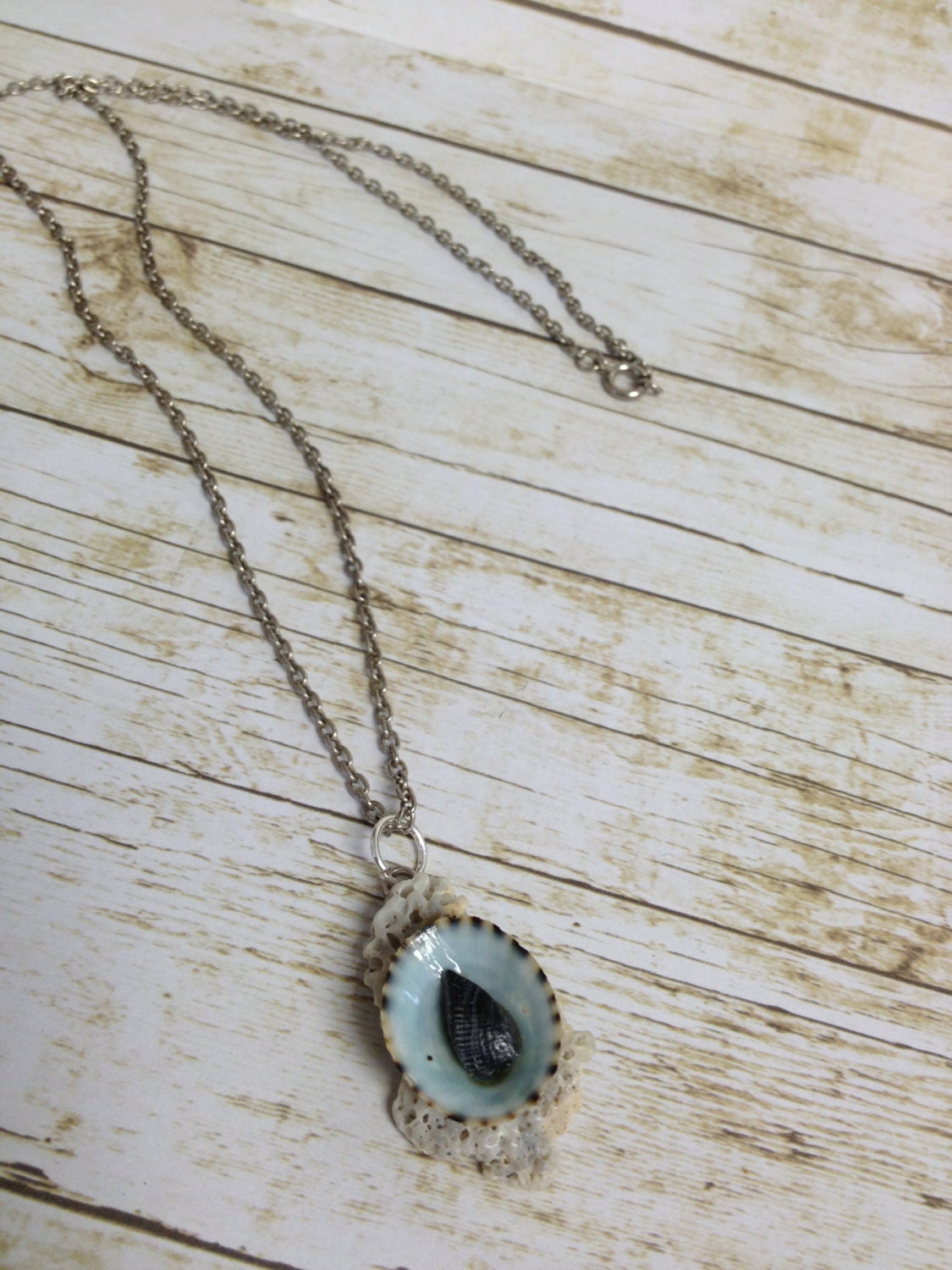 Green Fish Eye Shell Necklace | Etsy