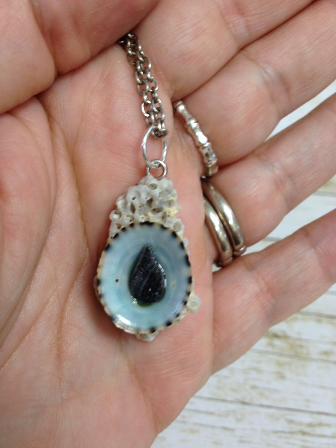 Green Fish Eye Shell Necklace | Etsy