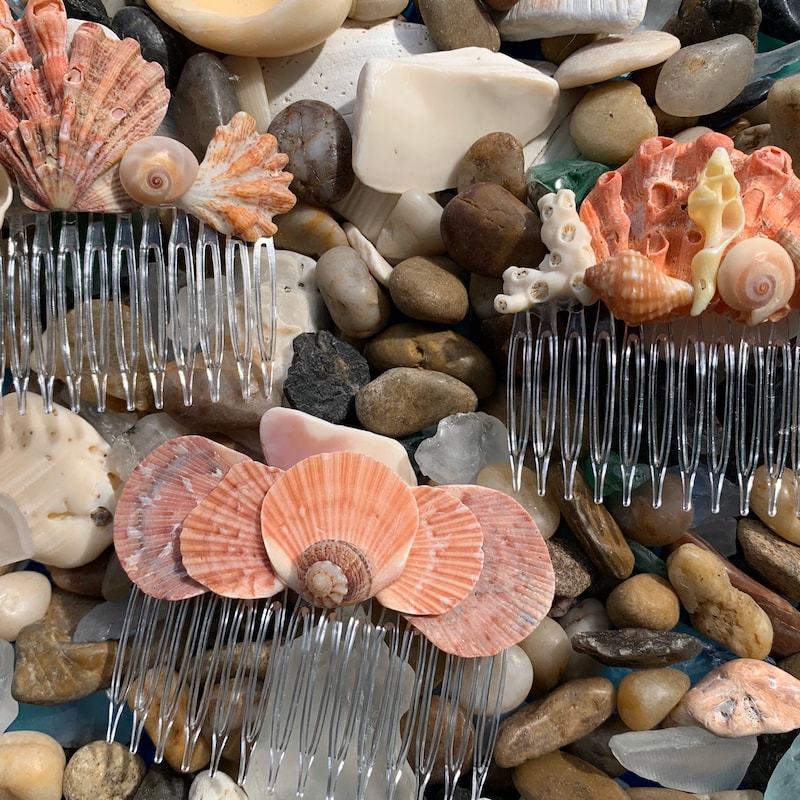 Seashell Accessories - Etsy