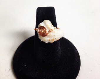 Double Kittens Paw Shell Ring Size 7.5 7 1/2 | Etsy